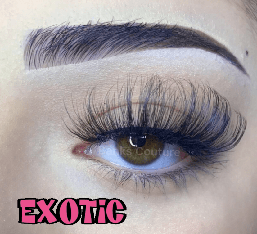 Exotic Lashes ☆ – Banks Couture